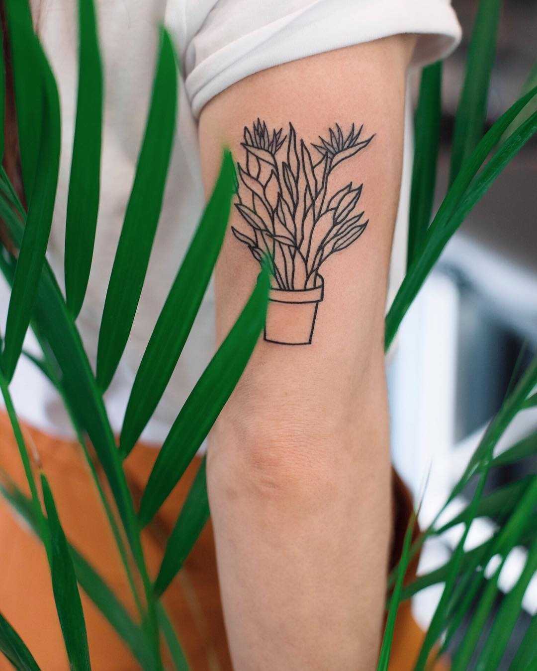 Pots Tattoo Designs at Ann Burkett blog