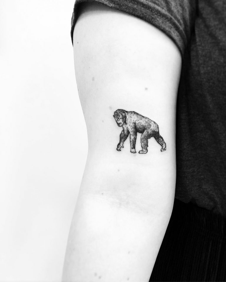 Animal Tattoos: Take A Look At The Most Beautiful Examples